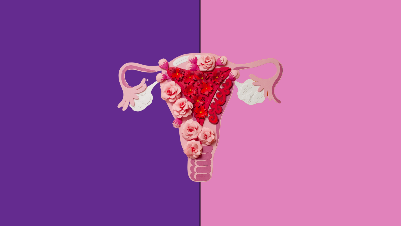 Handy Guide at your Cervix - Tulipon